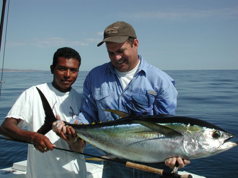 Fish Seasons And Species